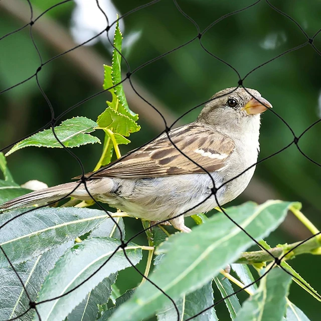 Fishing Net Tree House