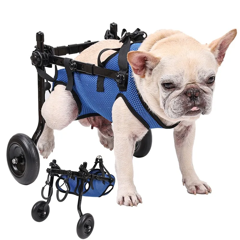 Handicap Dog Cart