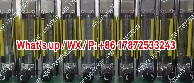 DK800-4F-6F-10F glass rotor flowmeter gas flow meter with regulating ...