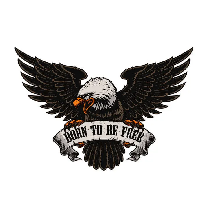 Eagle Wings Spread Back