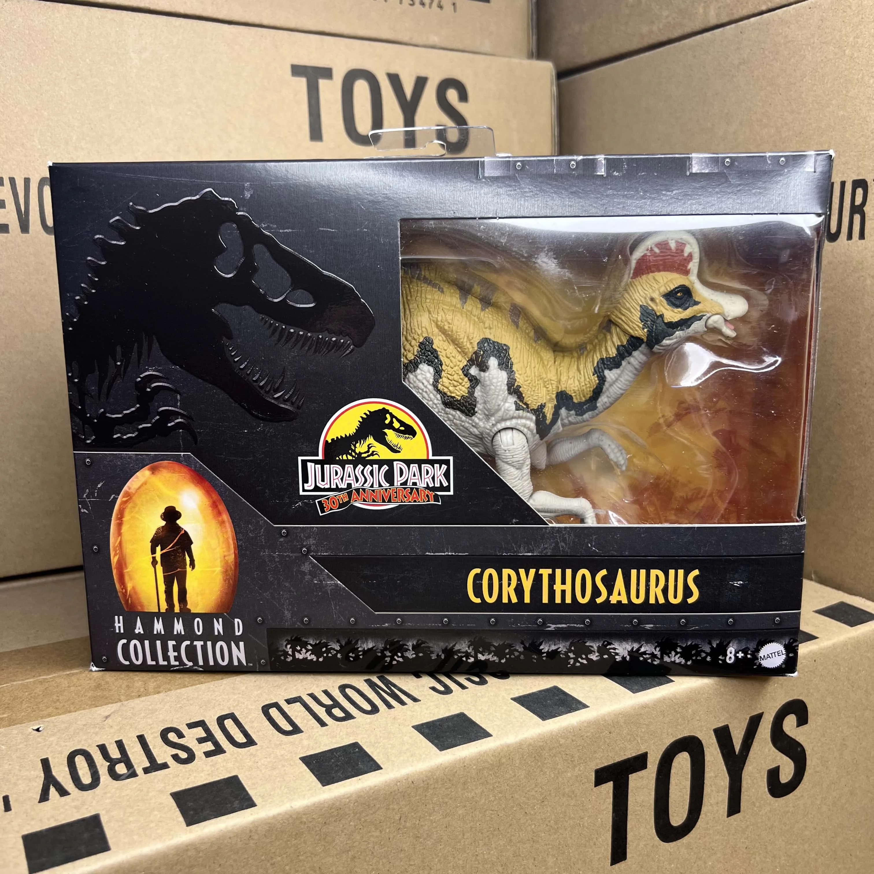 Corythosaurus