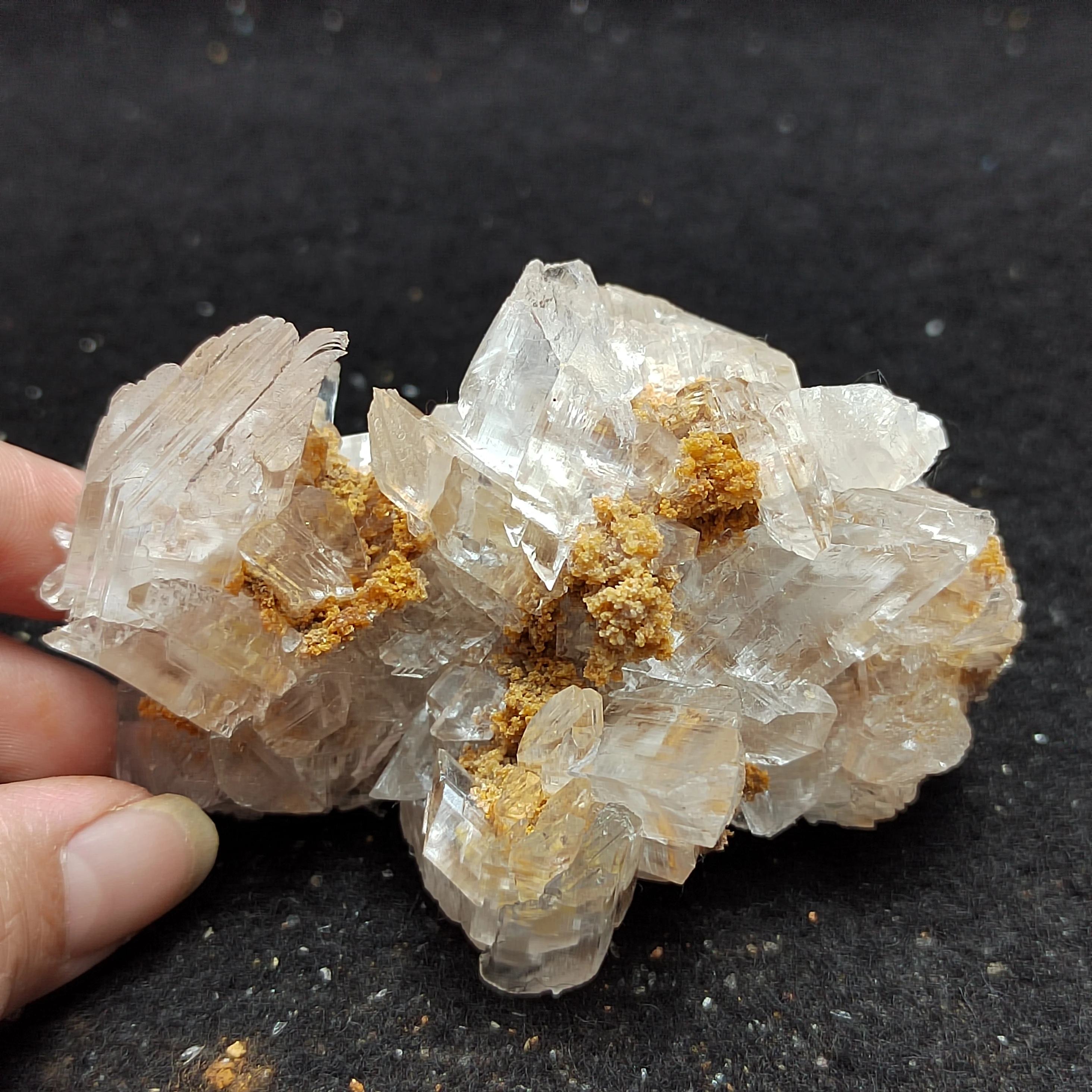 Gypsum Crystal