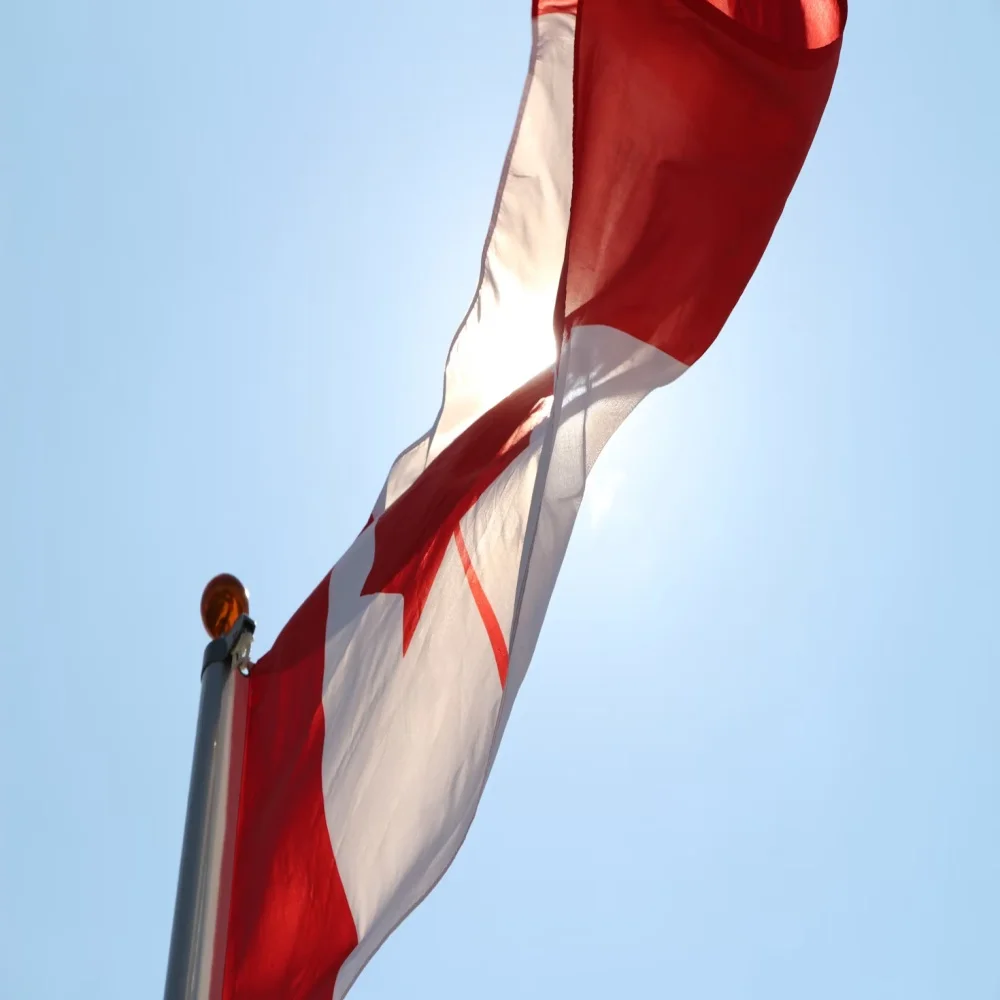 Great Canadian Flag 90*150cm hanging polyster 3x5fts Canada national ...