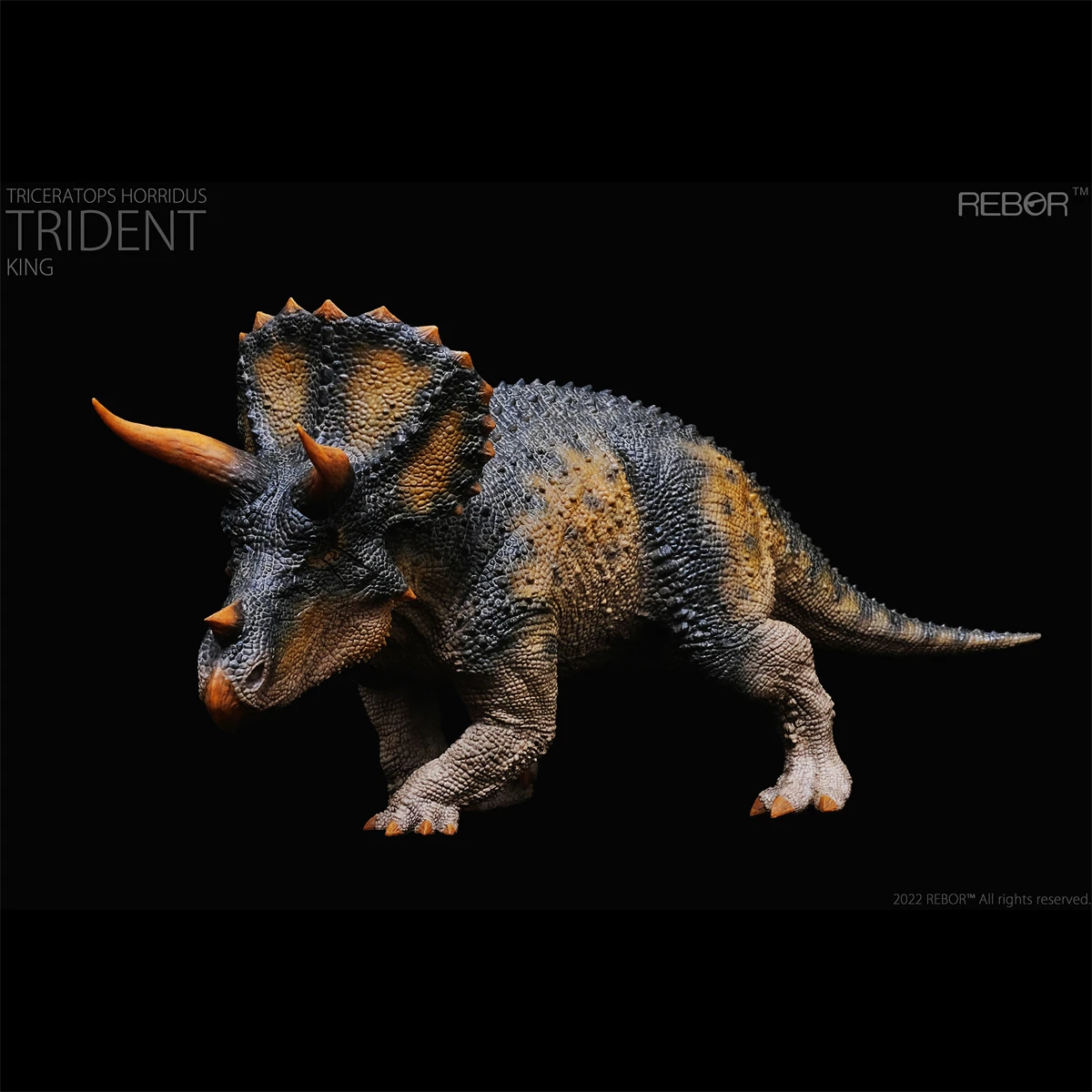 Triceratops Dinosaur Model | Rebor Dinosaur Models | Figure Dinosaur ...