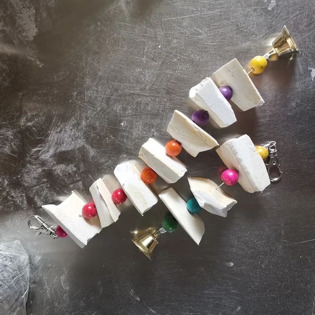 Cuttlefish Bone Jewelry