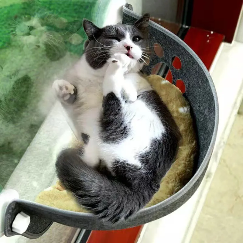 Pet-Hammock-Sunshine-Beds-Bearing-Cat-Window-Lounger-Suction-Cat-Cage ...