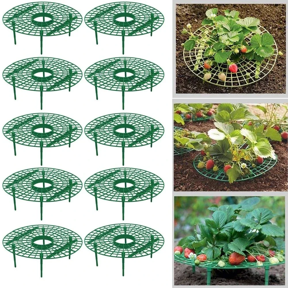 Strawberry-Stand-Frame-Holder-Balcony-Planting-Rack-Fruit-Support ...