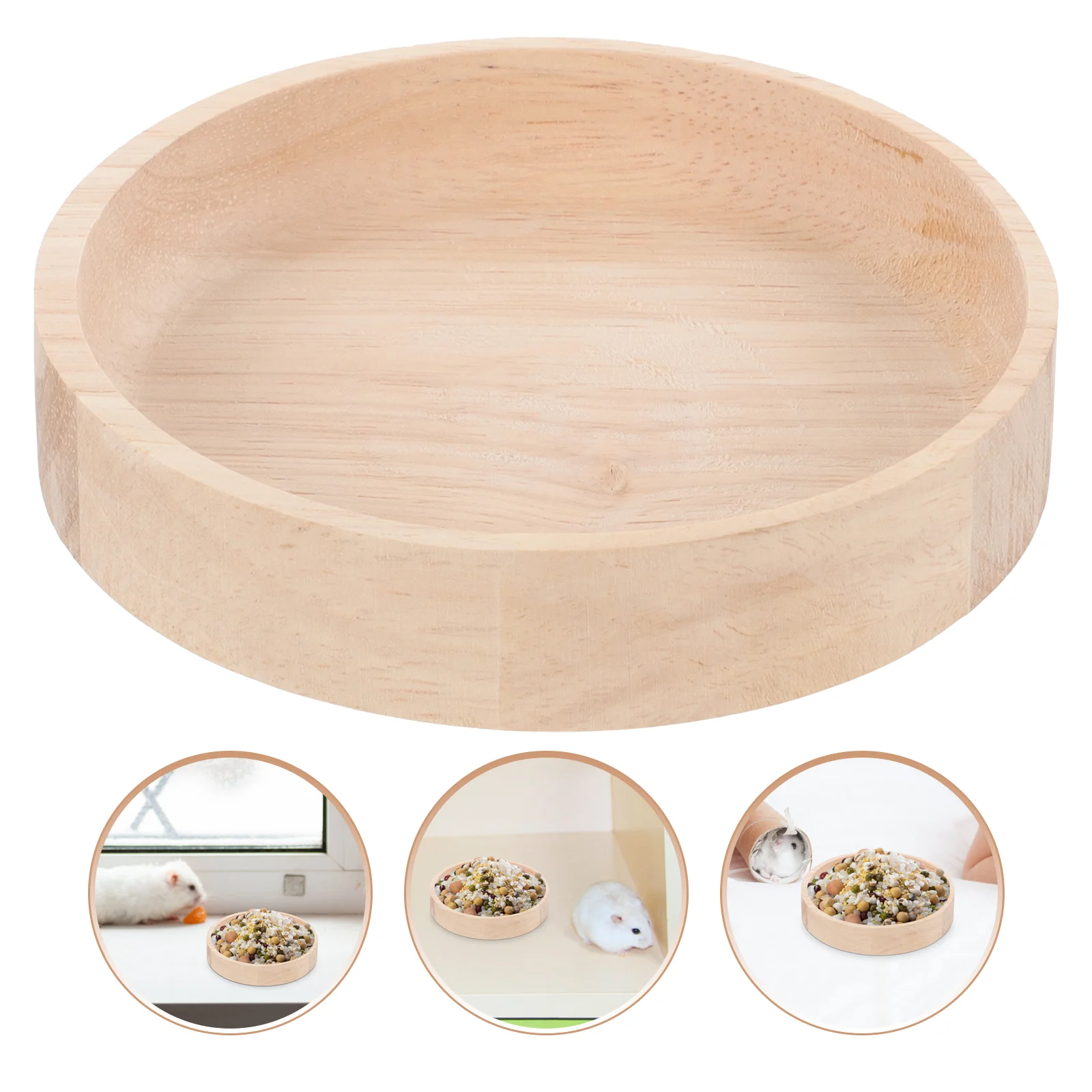 Dropshipping-Hamster-Food-Bowl-Squirrel-Feeder-Reptile-Bowls-Chinchilla ...