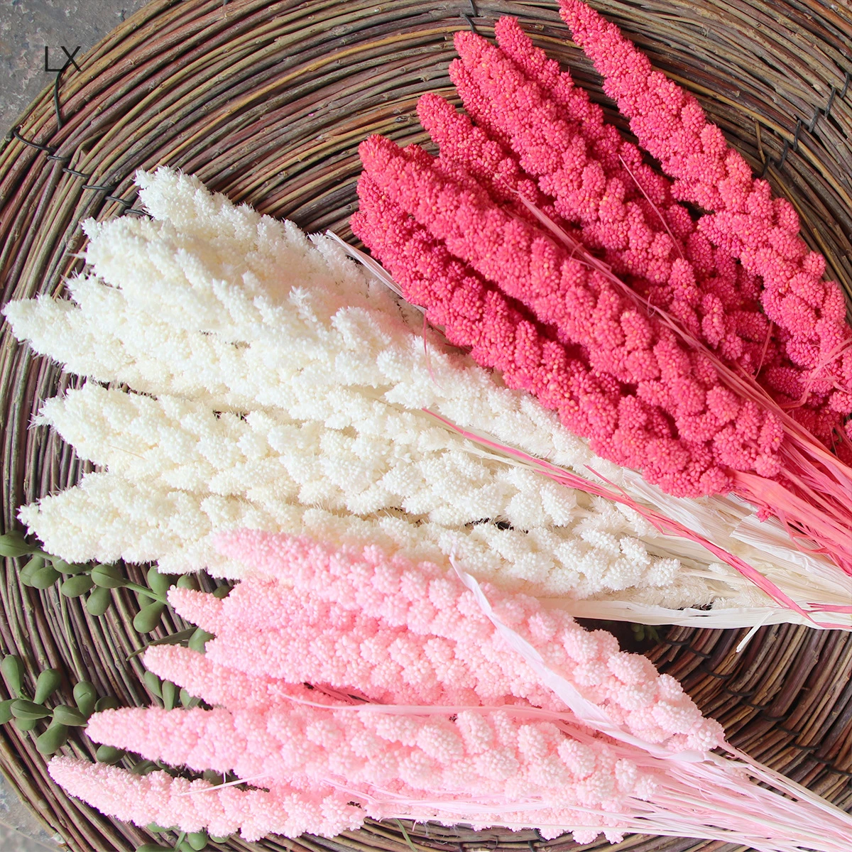 Ramo de flores secas reales, flor seca Natural, grano de oreja de trigo ...