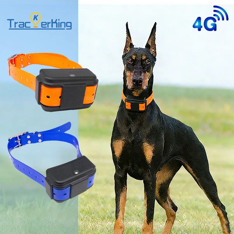 4G GPS Tracker Collar for Hunting Dogs TrackerKing DK07 4500mAh ...