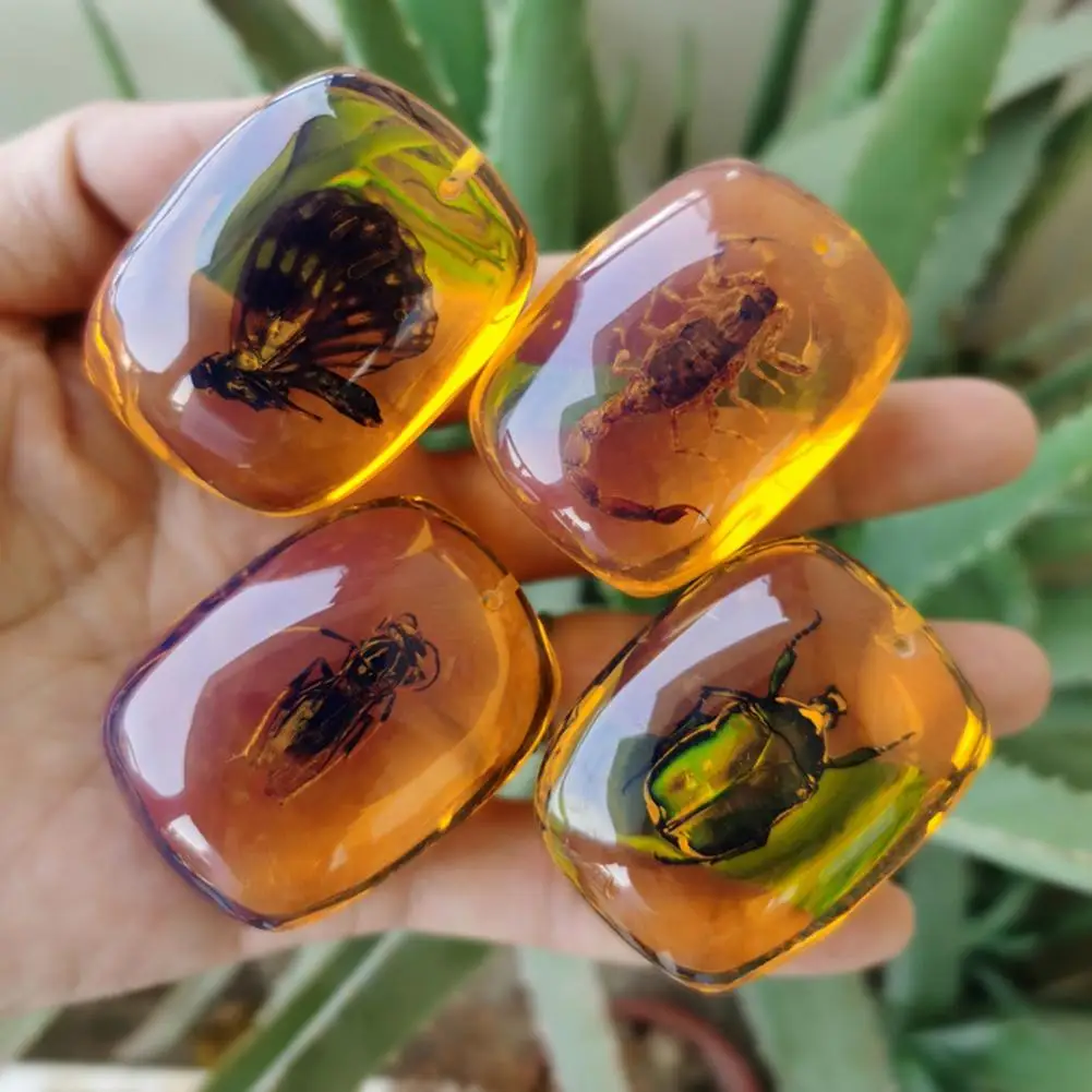 Insect Stone DIY Pendant Necklace Toy Square Rounded Corner Design ...