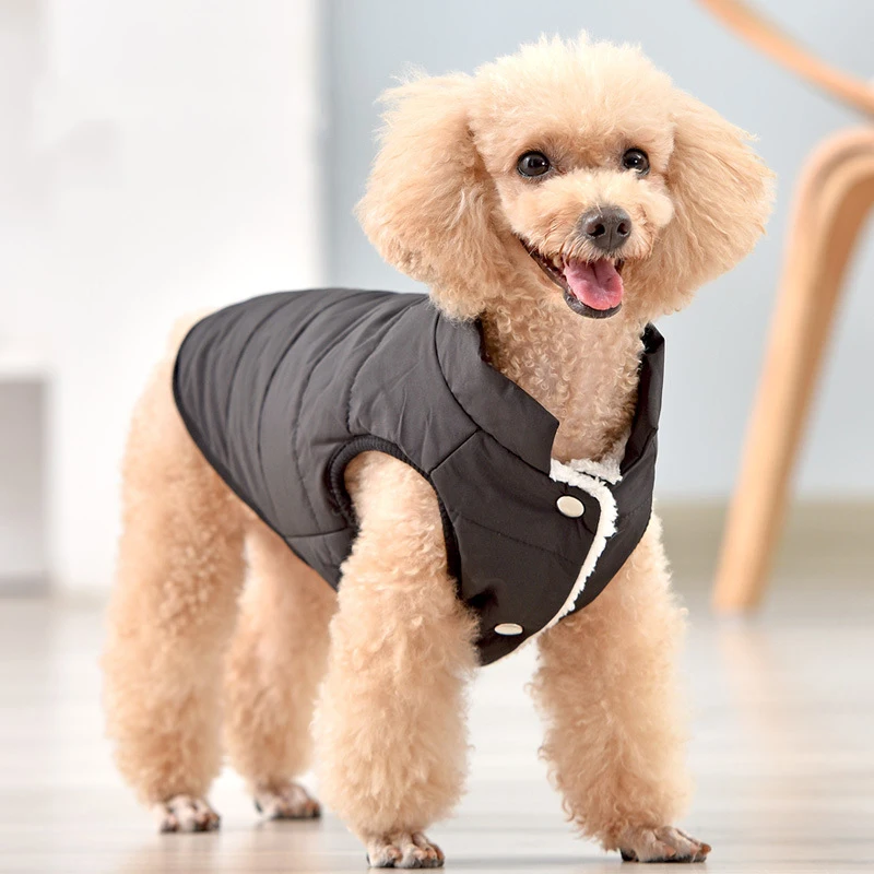 Windproof-Dog-Winter-Coat-Waterproof-Dog-Jacket-Cold-Weather-Pet ...