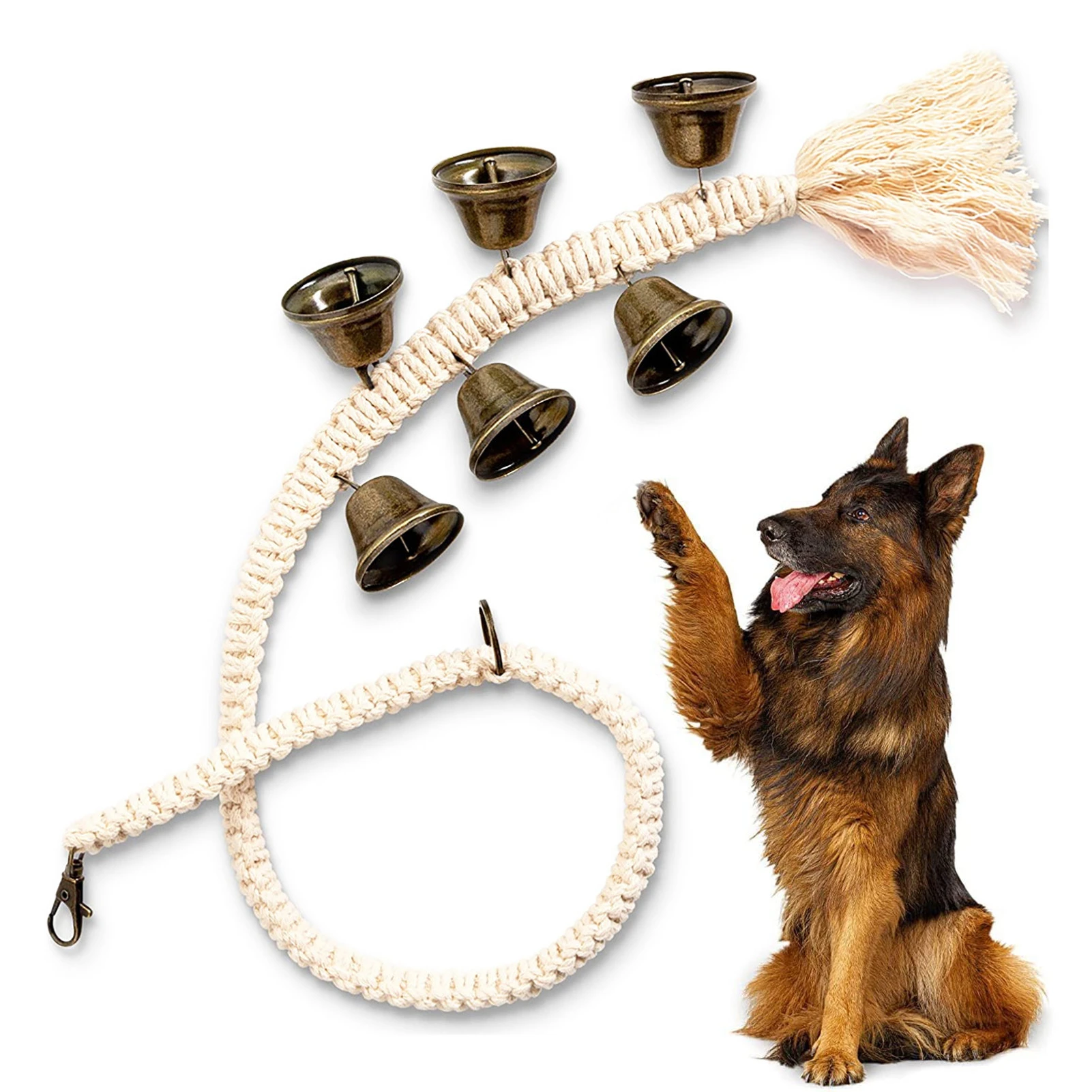 How To Teach Dog To Use Potty Bell