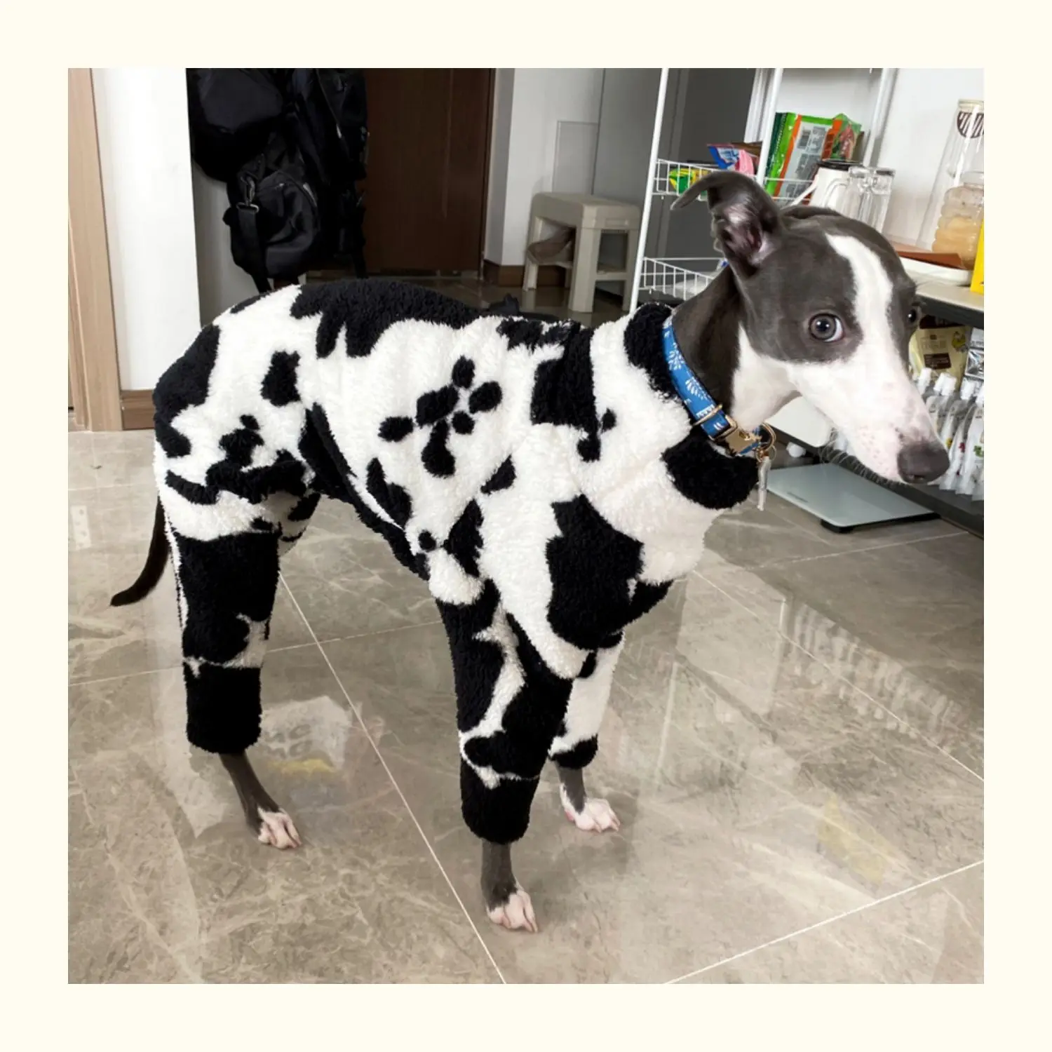 Small Italian Greyhound Clothes Warm Cotton Large Stretch Outdoor ...