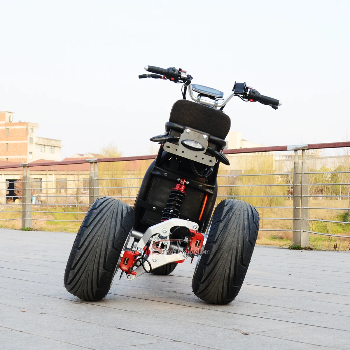 Approved-Holland-Warehouse-citycoco-electric-tricycles-3-wheel-high ...