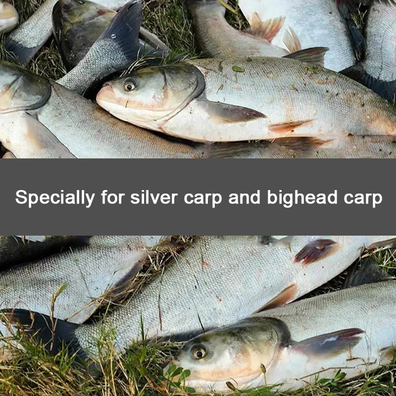 Silver Carp Identification