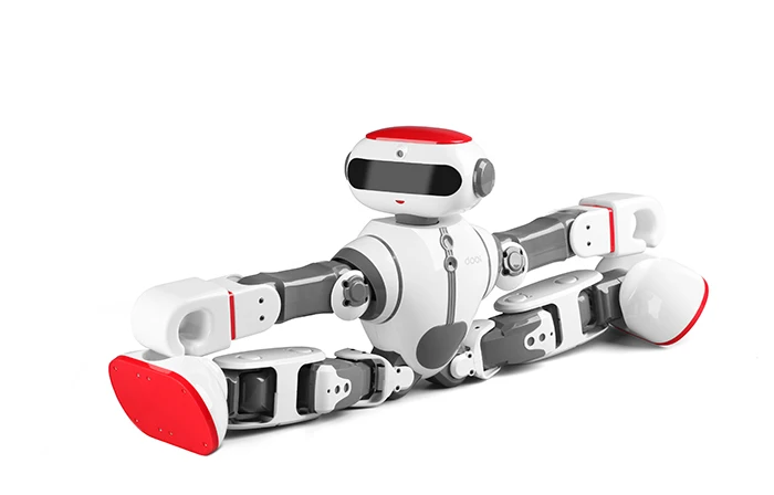 Dowellin-Dobi-Voice-Control-Intelligent-Smart-Kung-Fu-AI-Robot-could ...