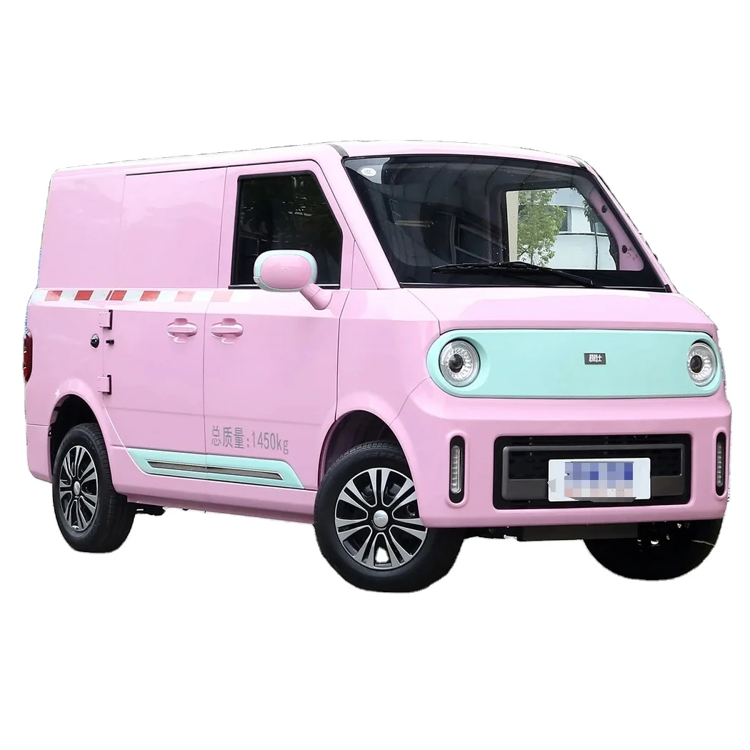 Available From Stock, Camper Vans Can Be Customized, Sightseeing Cars ...