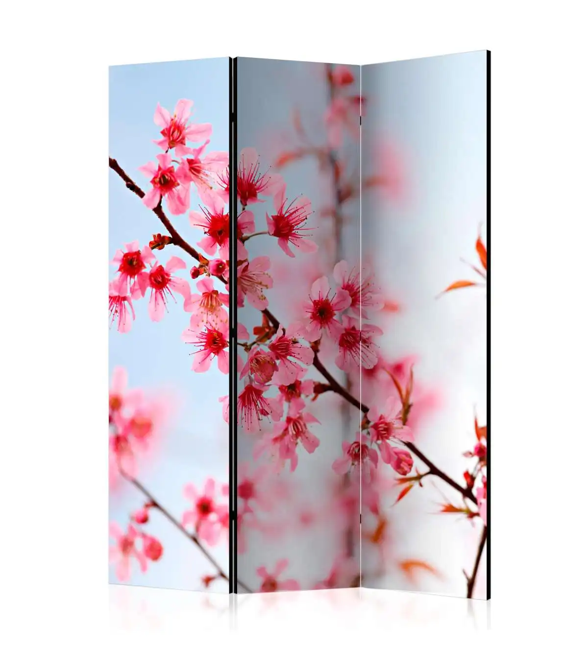 3-piece-screen-screens-Symbol-of-Japan-sakura-flowers-Room-Dividers ...