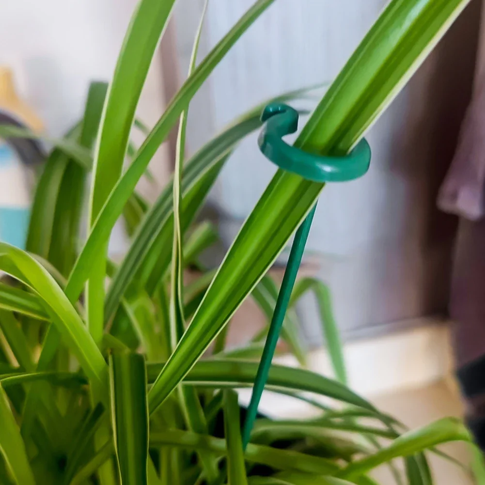 10pcs Plant Stakes Vertical Growth Stem Support for Indoor and Outdoor ...