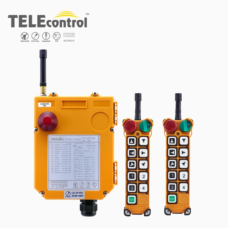 F24-10D-Industrial-2T1R-Wireless-Crane-Hoist-Remote-Control-24-48V-100 ...
