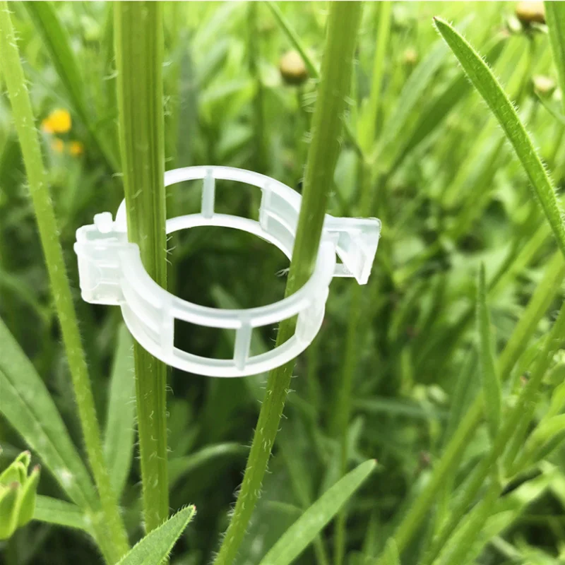200pcs Plastic Plant Clips Supports Connects Reusable Protection ...