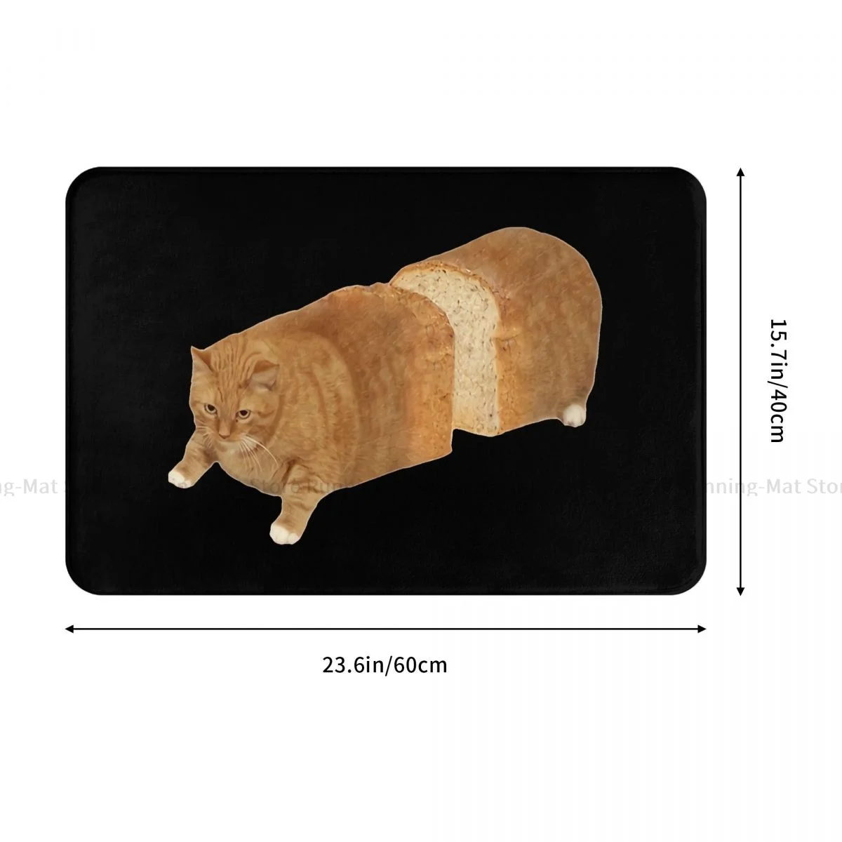 Fet Katt Meme Mat Slechte Kat Wist Te Veel Stockfoto En Meer Beelden