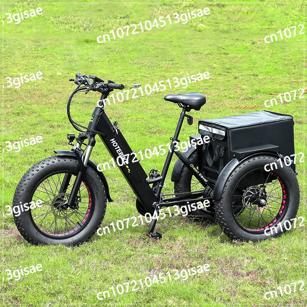 Electric Distribution Vehicle with Wheels 20 * 4.0 Inches Wide Tire ...