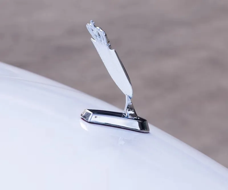 1piece-high-quality-new-Diamond-Shield-style-car-metal-standing-hood ...