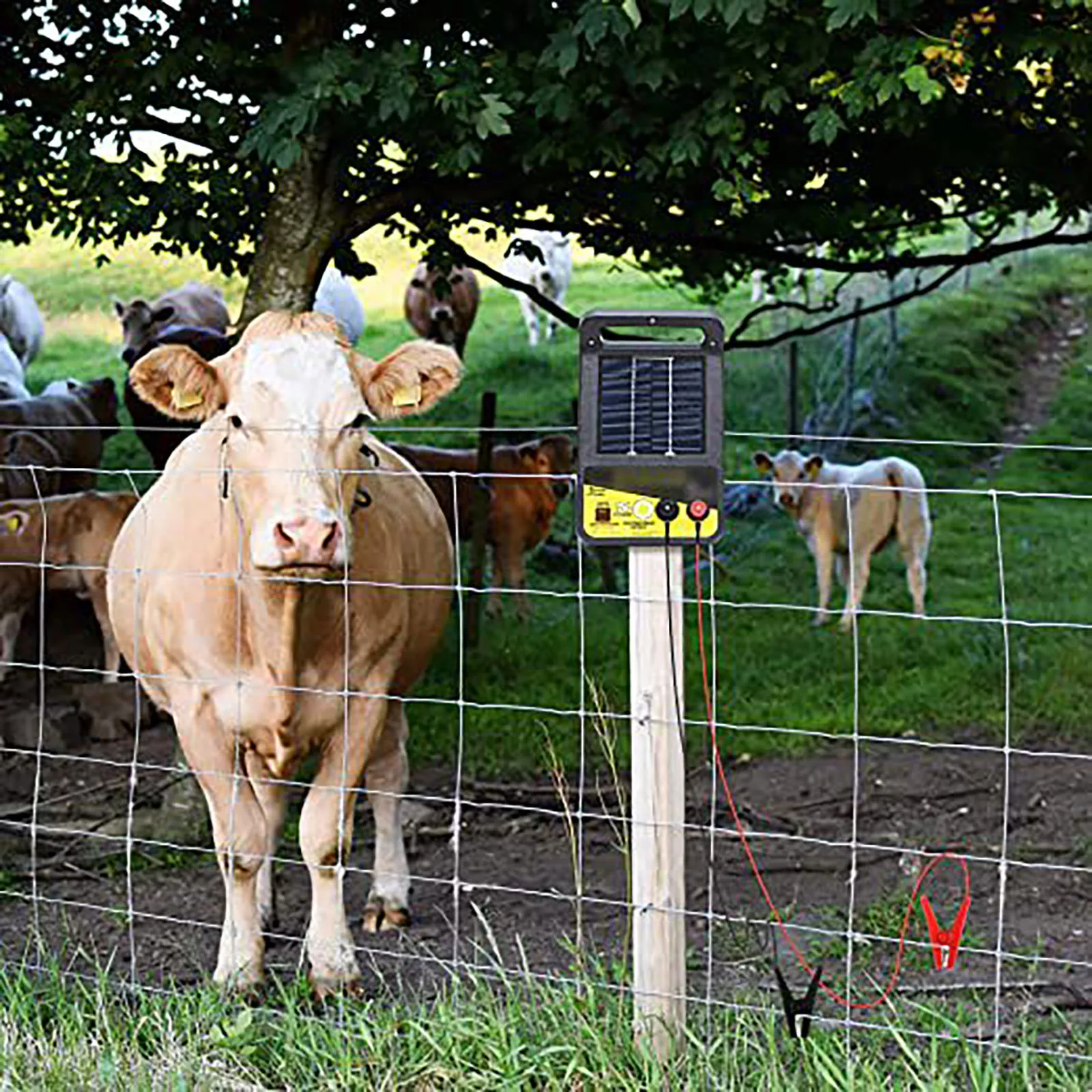 Clôture Jardin Extérieur,Fil de clôture électrique,chargeur de clôture ...