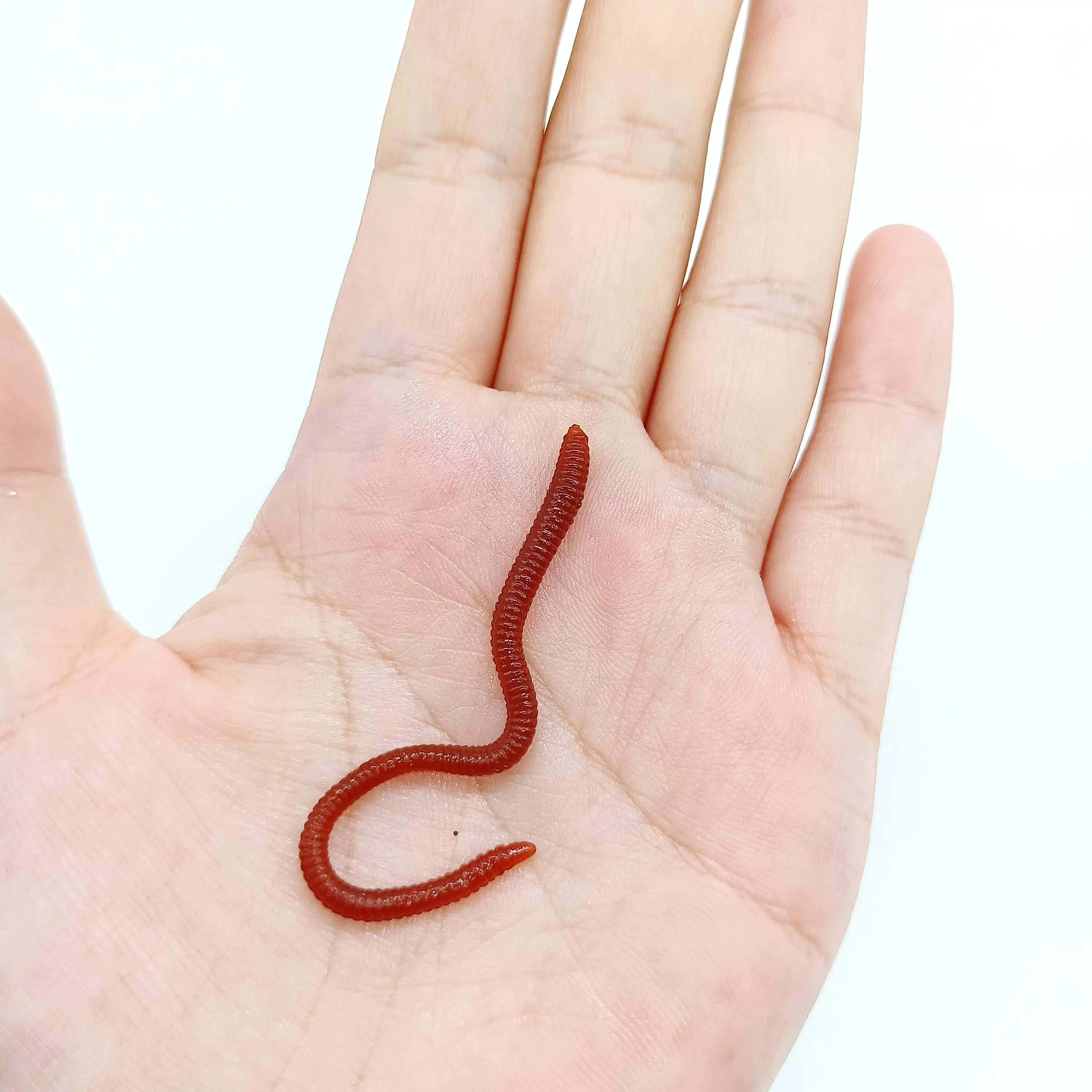 DUODUOYU-10PCS-Simulation-Earthworm-Fishing-Worms-Artificial-Fishing ...