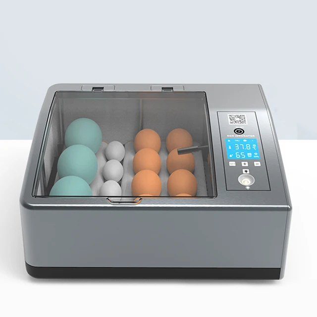 Store Home Products Summer Sale Feedback