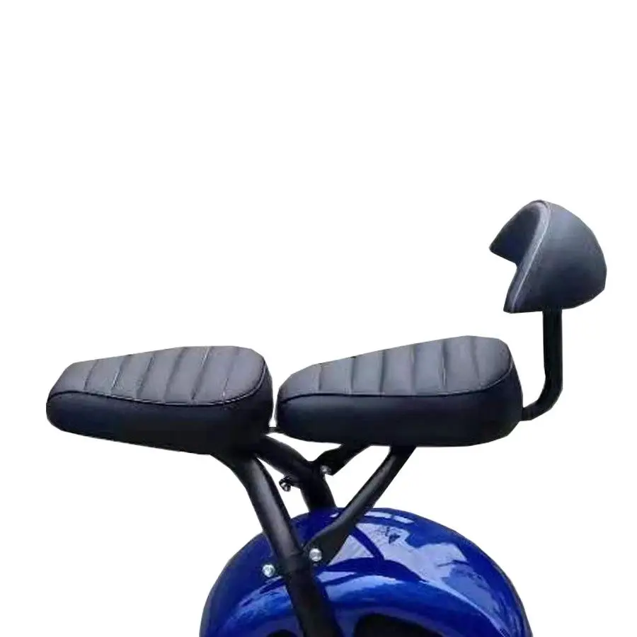 Citycoco Rear Backrest Modification Parts Set For Chinese Halei ...