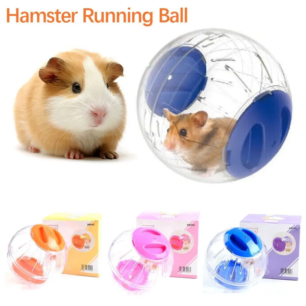 Hamster-Running-Ball-Rodent-Mice-Gerbil-Rat-Exercise-Training-Toy-Small ...