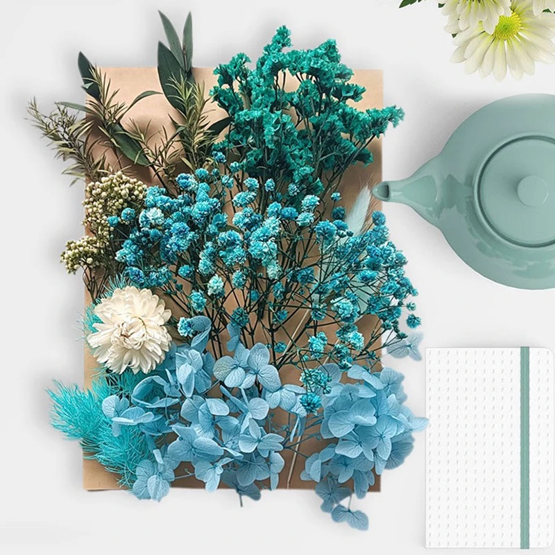 Preserve Forever Craft Fazendo Flor Eterna DIY Real Secas Flower Art ...