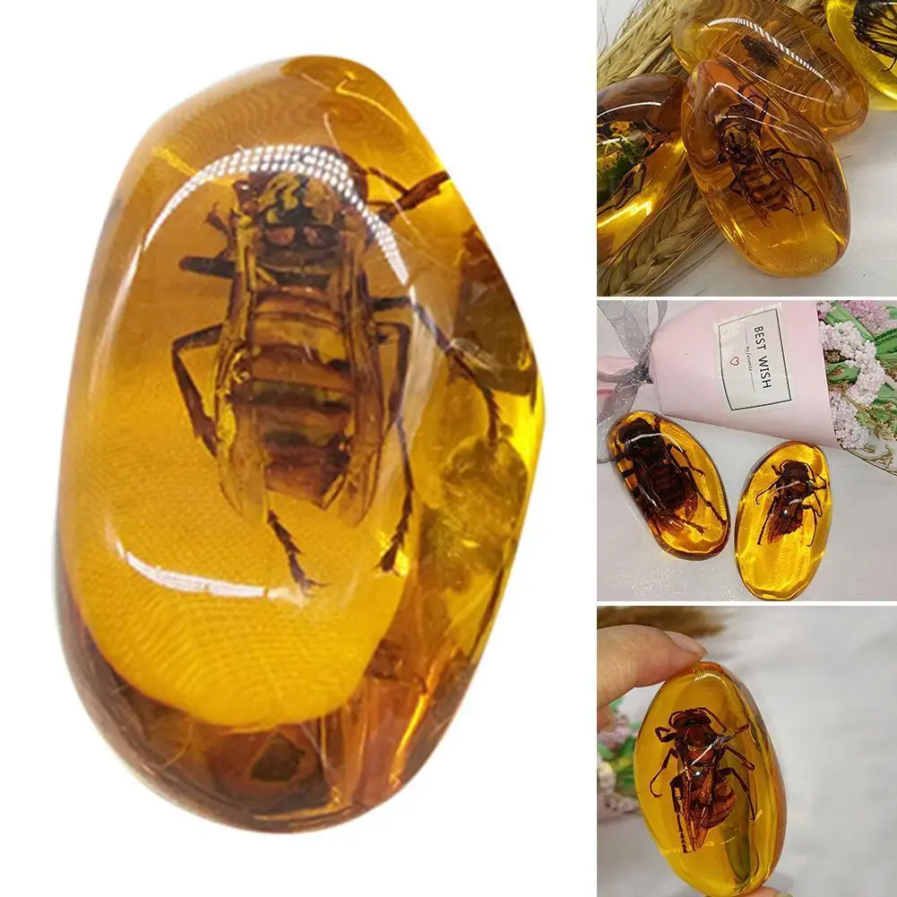 1pcs-Natural-And-Mineral-Stones-Home-Decor-Natural-Insect-Insects-Amber ...