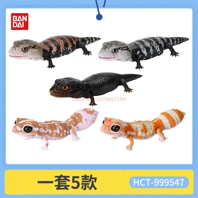 Genuine-Bandai-Gashapon-Big-Biological-Map-Gecko-Lizard-Blue-Tongued ...