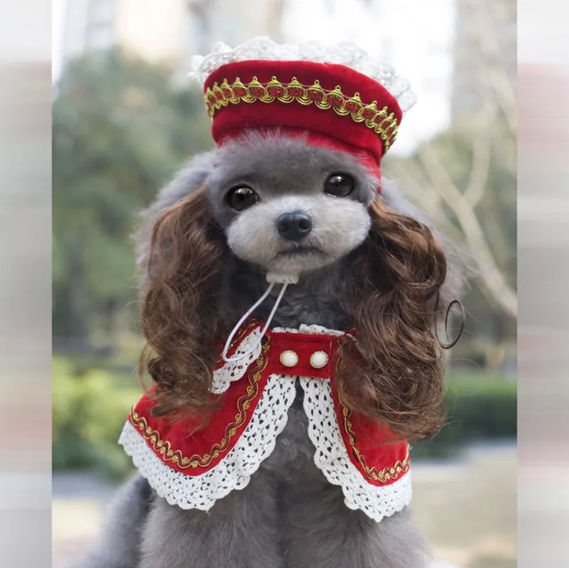 Dog Halloween Makeup