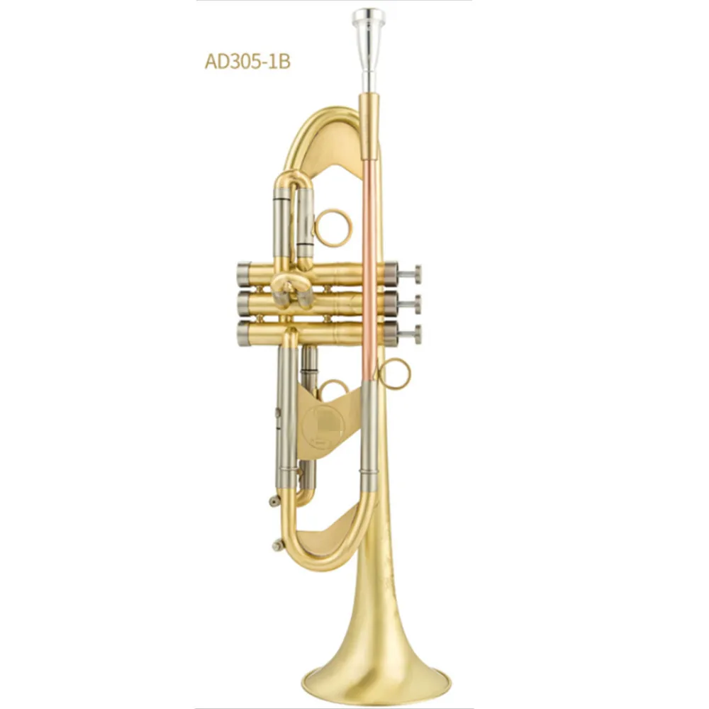 Baha-trompent 305 Tingbb, Performance Professionnelle, Avancée ...