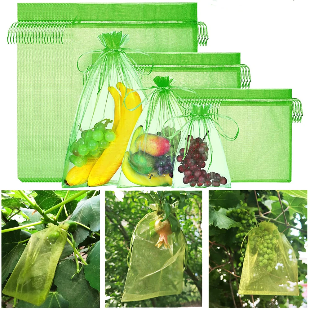 Vegetable Fruit Protection Bags | Grapes Fruit Protection Bags - 20/50 ...