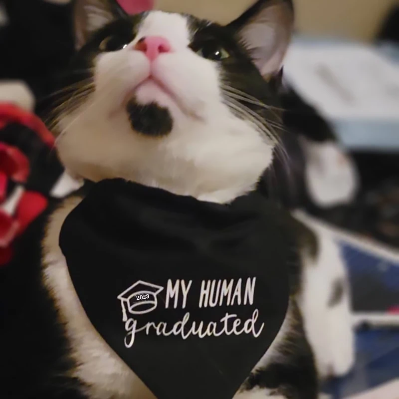 College Graduation Meme Dog