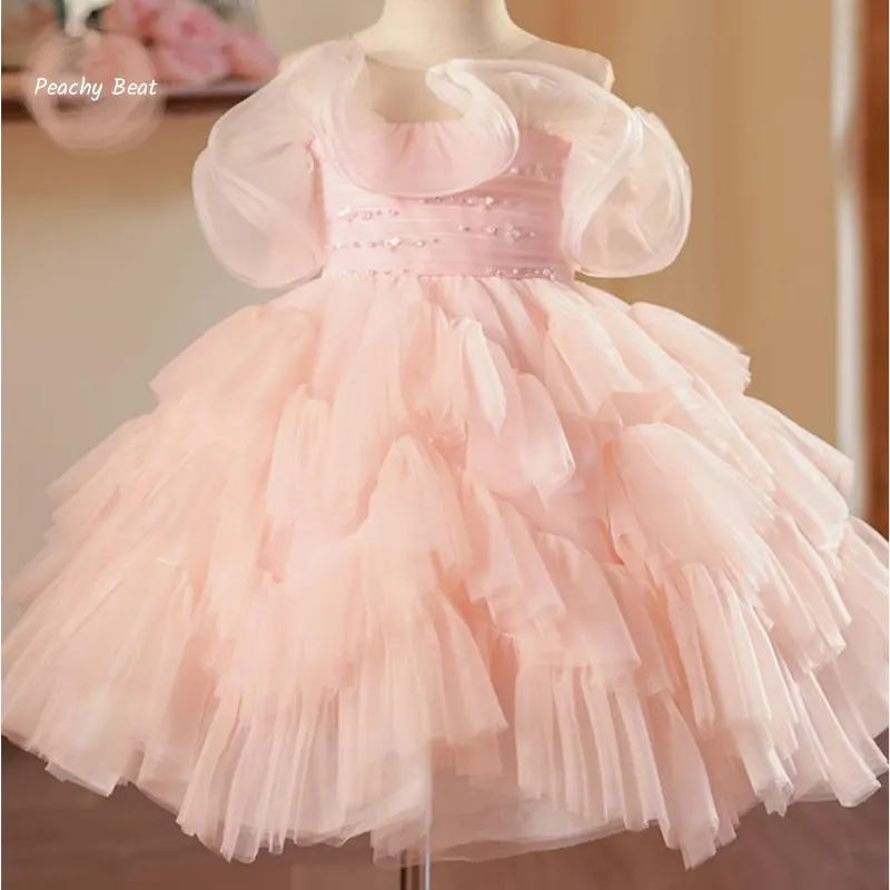 Baby-Girl-Princess-Pink-Tutu-Dress-Toddler-Child-Elegant-Tulle-Vestido ...