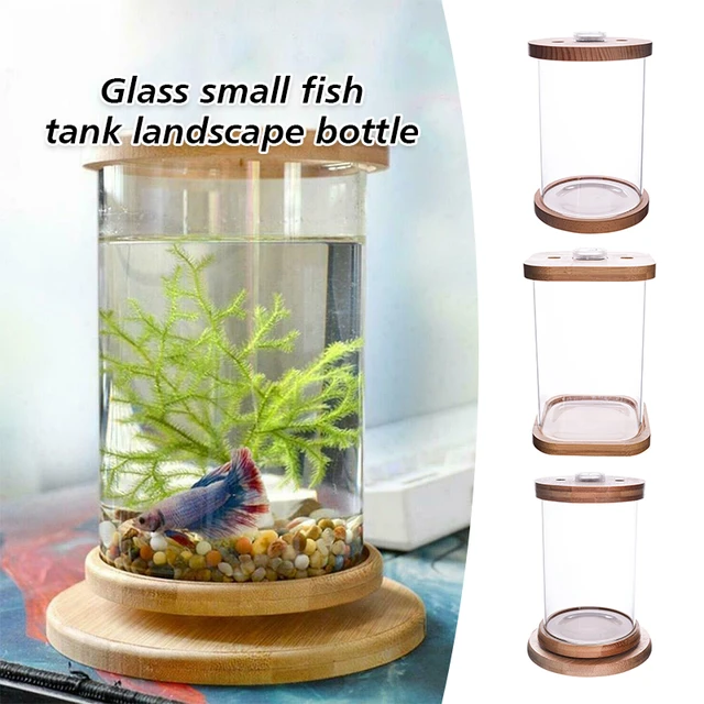 Diy Betta Fish Tanks