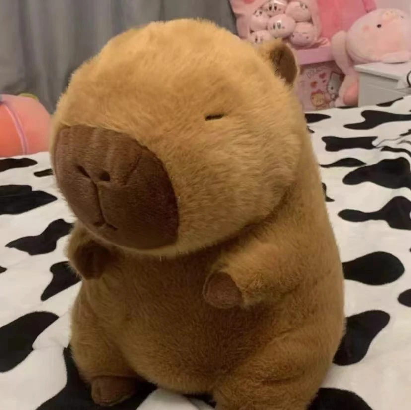 Peluche de capibara Kapibala de 25 a 55 cm, celebridad de Internet ...