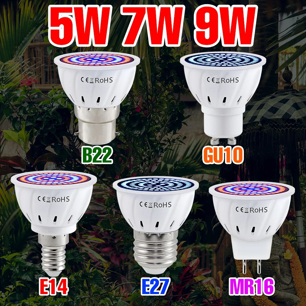 Sb0cdadcfc69348b08e940dbeca1d8e8aQ.jpg