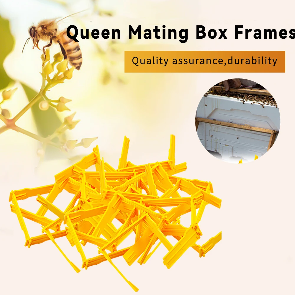50 PCS Queen Mating Box Frames Mini Nuc Beehive Frame Beekeeeping ...