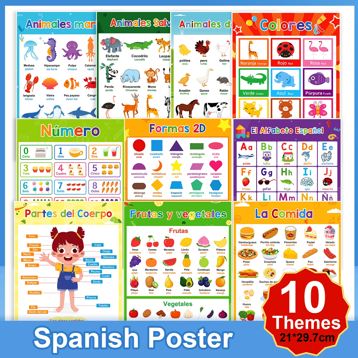 Spanish Alphabet Poster