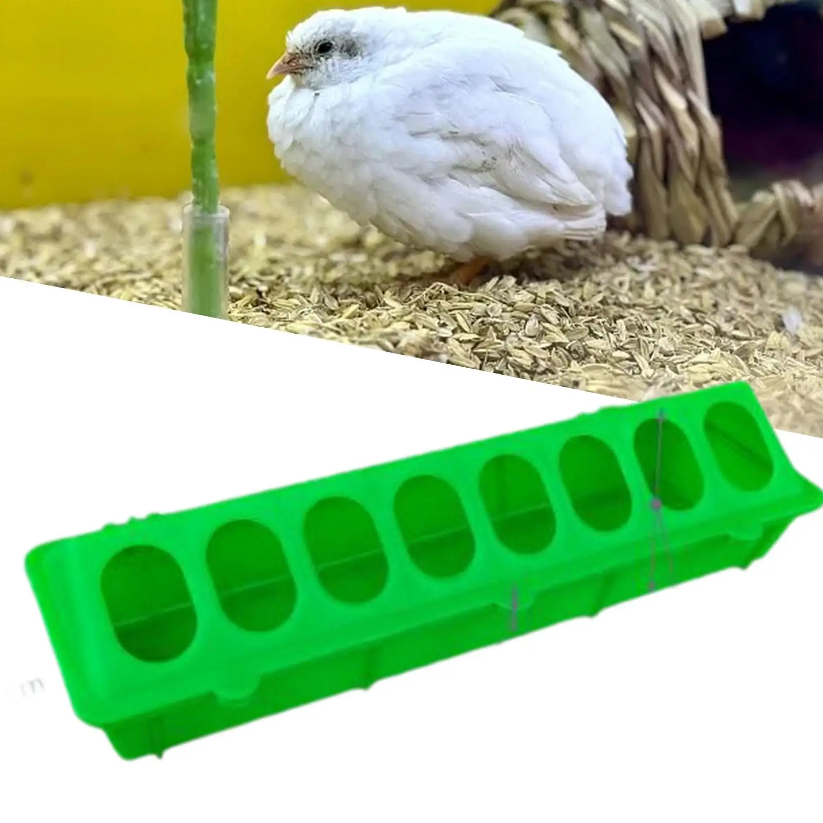 Poultry-Ground-Feeder-Flip-Top-Waste-Multihole-Bird-Parrot-Trough-Food ...