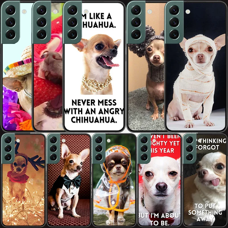 Cute-Pet-Chihuahua-Dog-Phone-Case-For-Samsung-A15-A25-A35-A55-Galaxy ...