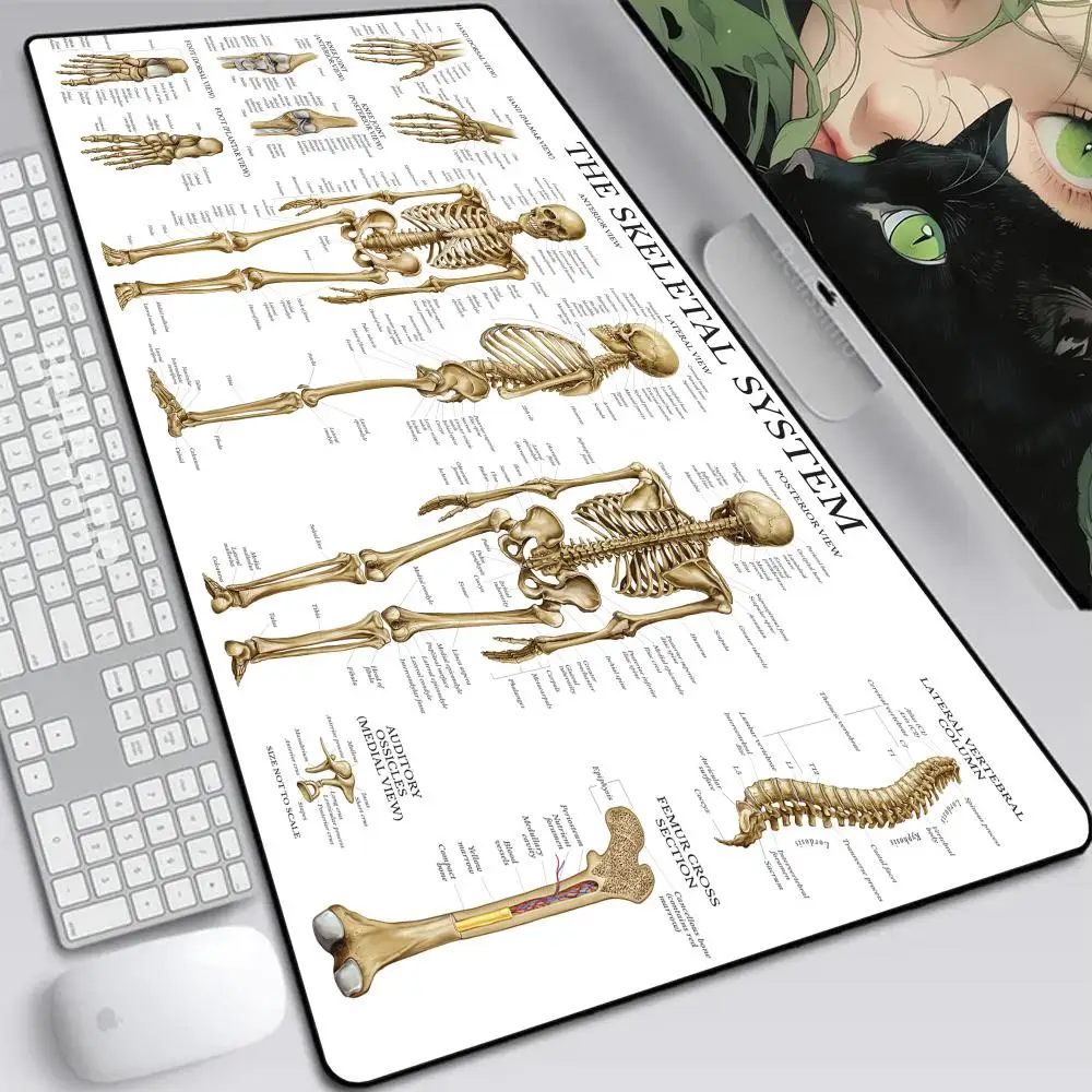 Boys-Gift-Pad-Medical-Anatomy-Office-Mouse-Gamer-Soft-Rubber-Non-slip ...